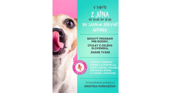 Nájdite sa... so zvieratkom z útulku | AvePharma Nájdite sa... so zvieratkom z útulku | AvePharma